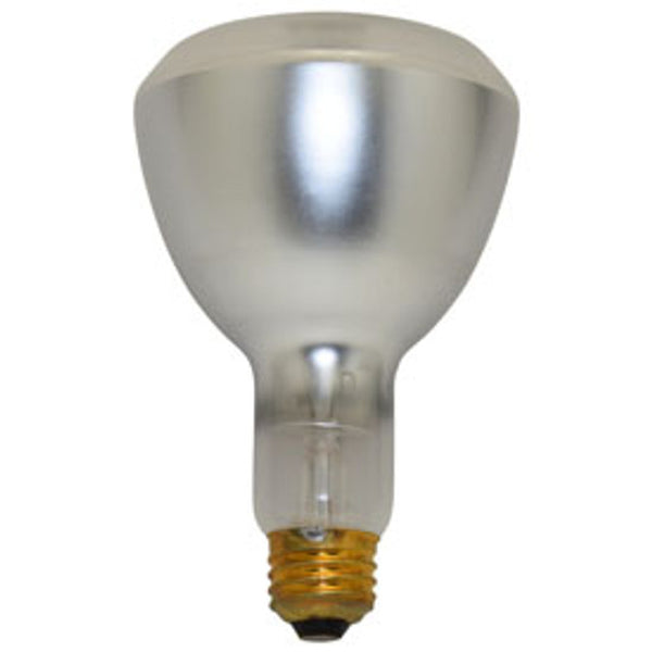 Philips Reflector Flood Light Bulb - 50ER30 120/130V Frosted Incandesc
