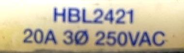Hubbell HBL2421 Twist Locking Plug 20A 250VAC Thermoplastic Black/Whit ...