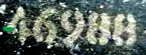 AMP 46988 Hand Crimping Tool 16-14 2.5-4