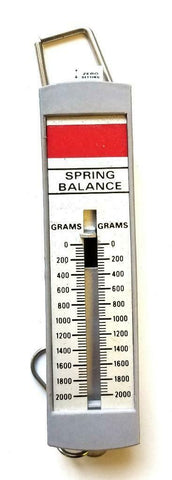 New Shinco Spring Scale Balance 2000g | Surplus Select