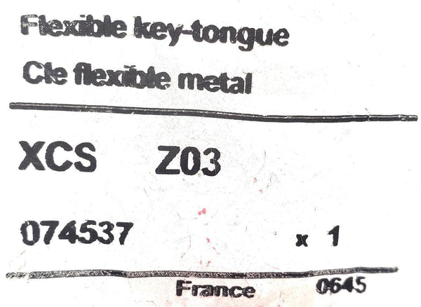Telemecanique XCS-Z03 Flexible Key-Tongue 074537 – Surplus Select